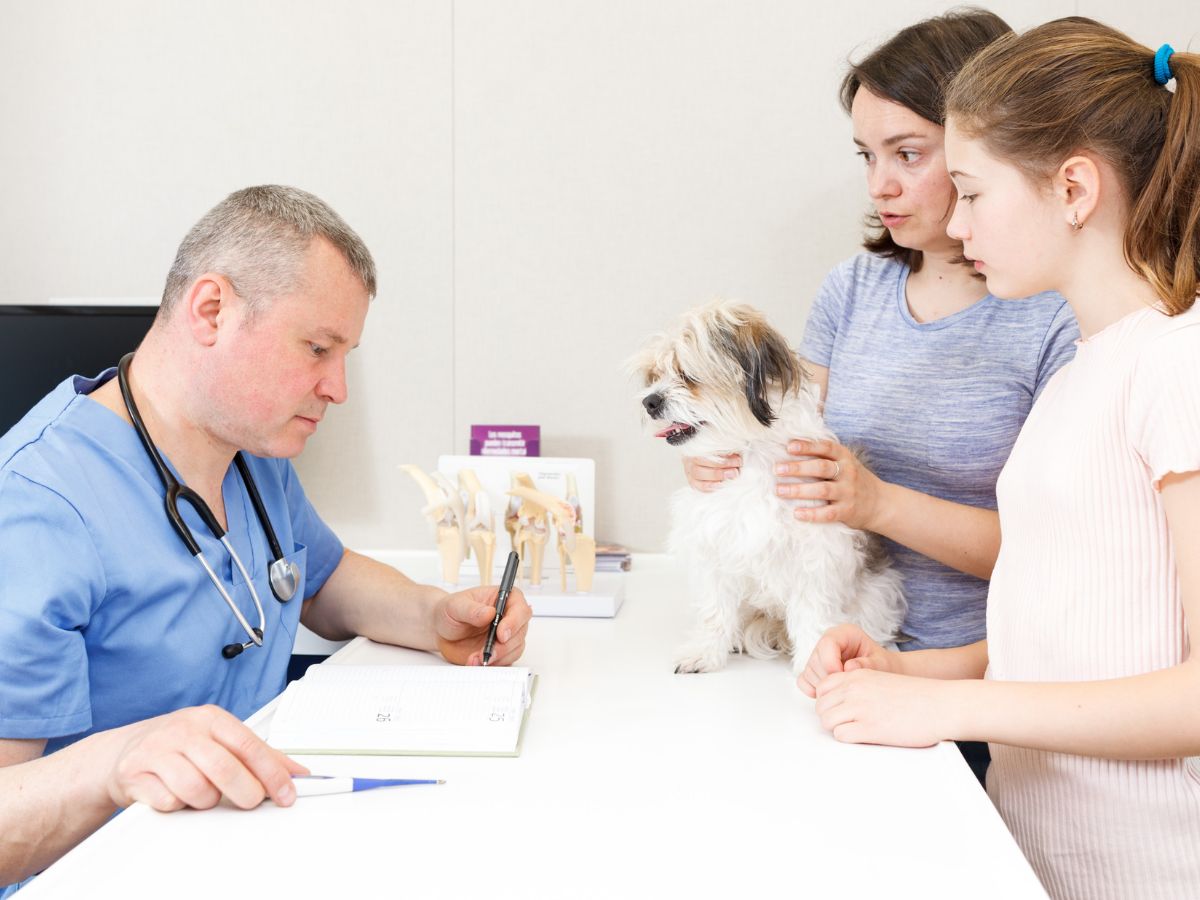 Admit Appointment Consent Form | Potlatch Veterinary Clinic